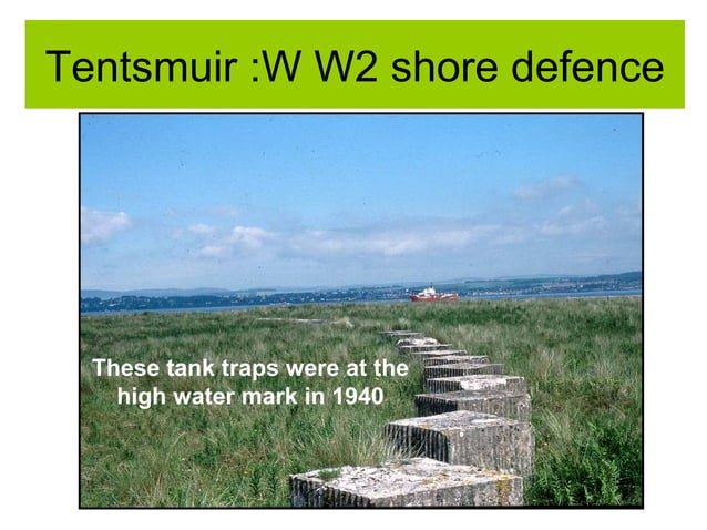 Biosphere : Sand Dune Succession | PPT | Landscaping | Home & Garden