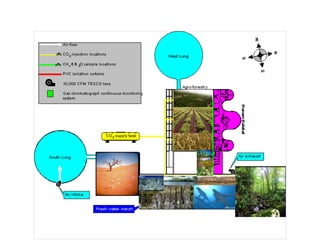 Biosphere 2 Diagram