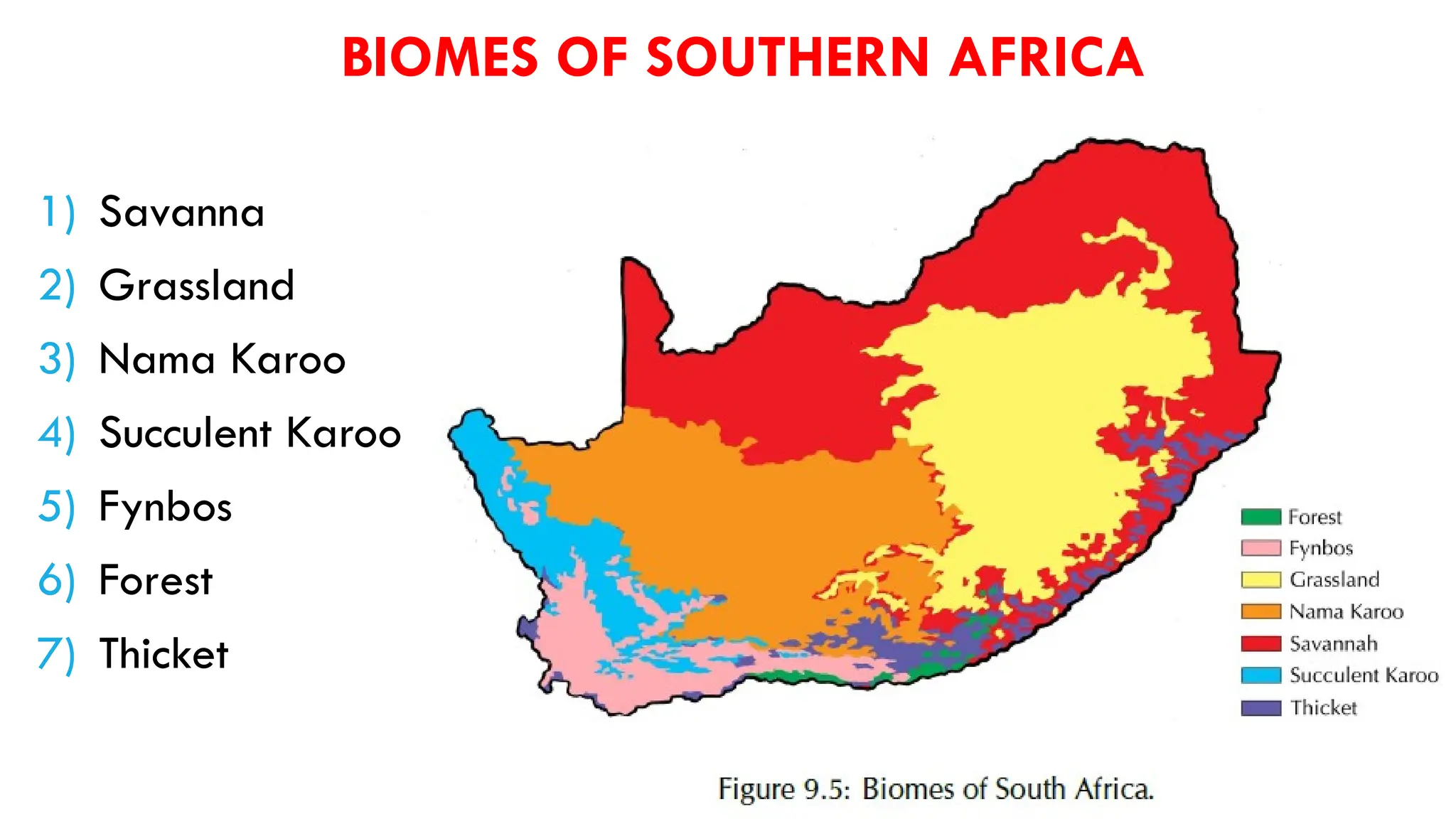 ENVIROMENTAL STUDIES: BIOSPHERE BIOMES AND ECOSYSTEMS.pptx