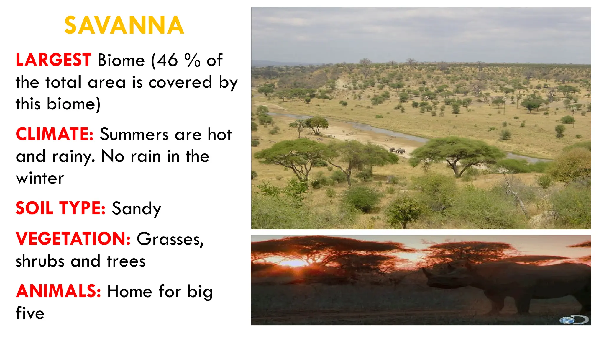 ENVIROMENTAL STUDIES: BIOSPHERE BIOMES AND ECOSYSTEMS.pptx