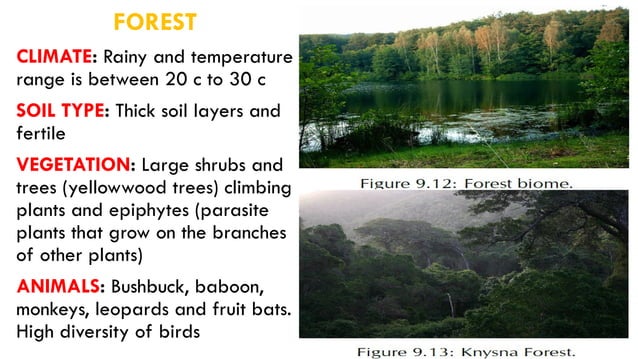ENVIROMENTAL STUDIES: BIOSPHERE BIOMES AND ECOSYSTEMS.pptx