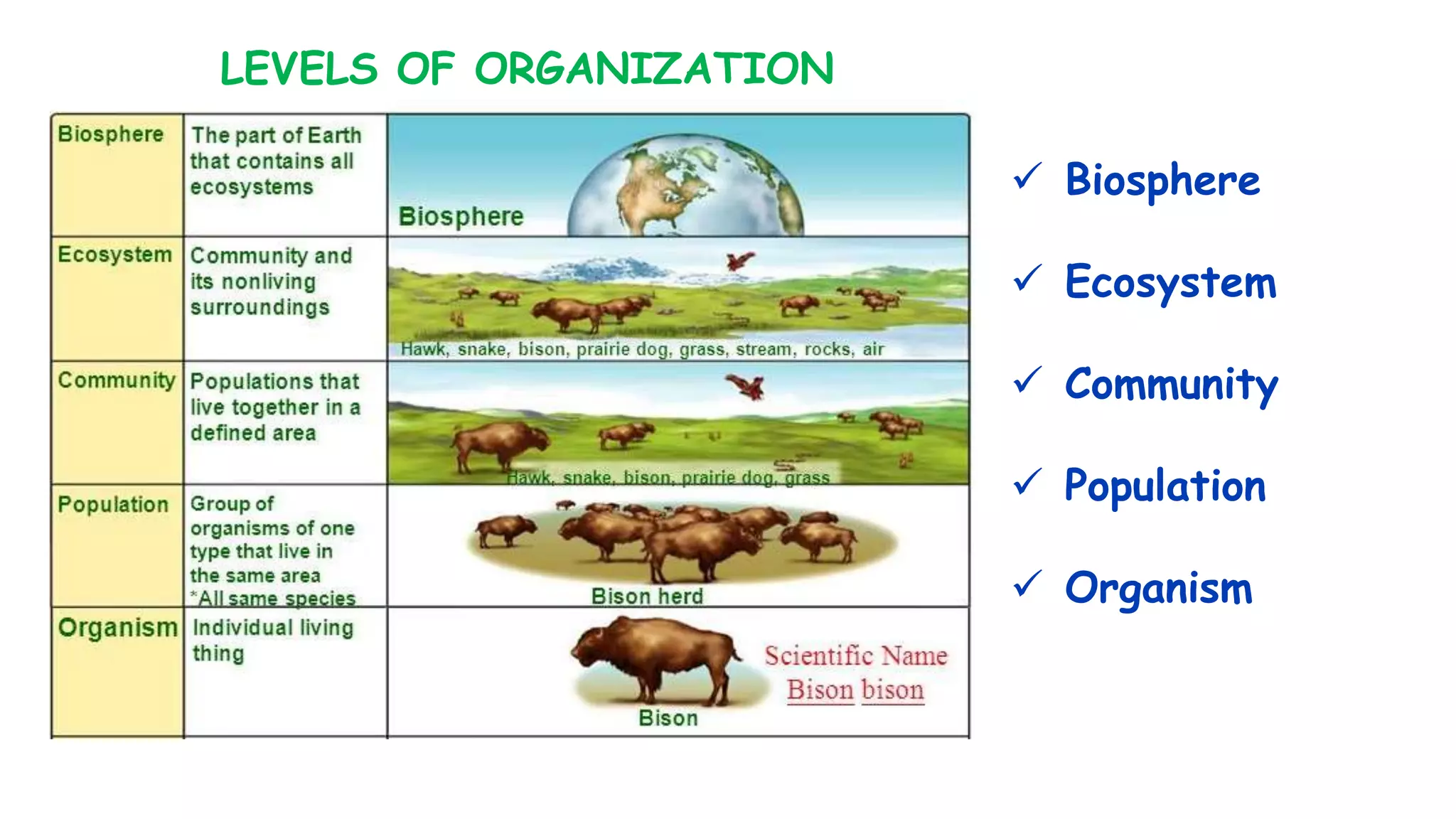 Biosphere ecosystems | PPTX