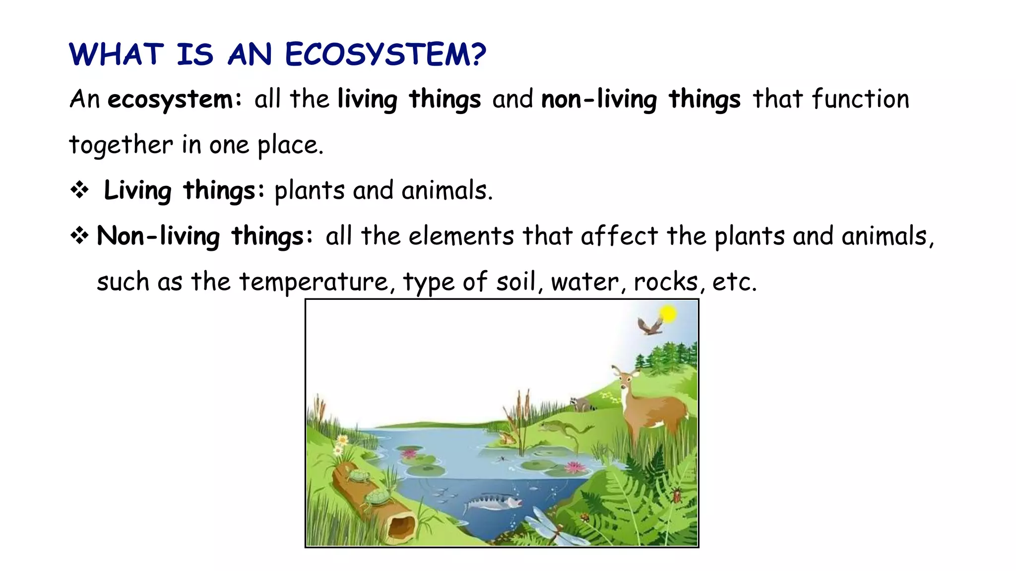 Biosphere ecosystems | PPTX