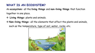 Biosphere ecosystems | PPTX