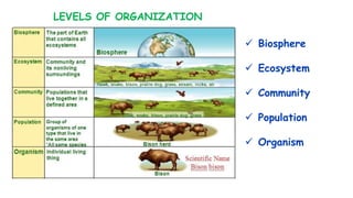 Biosphere Ecosystem Community Population Organism