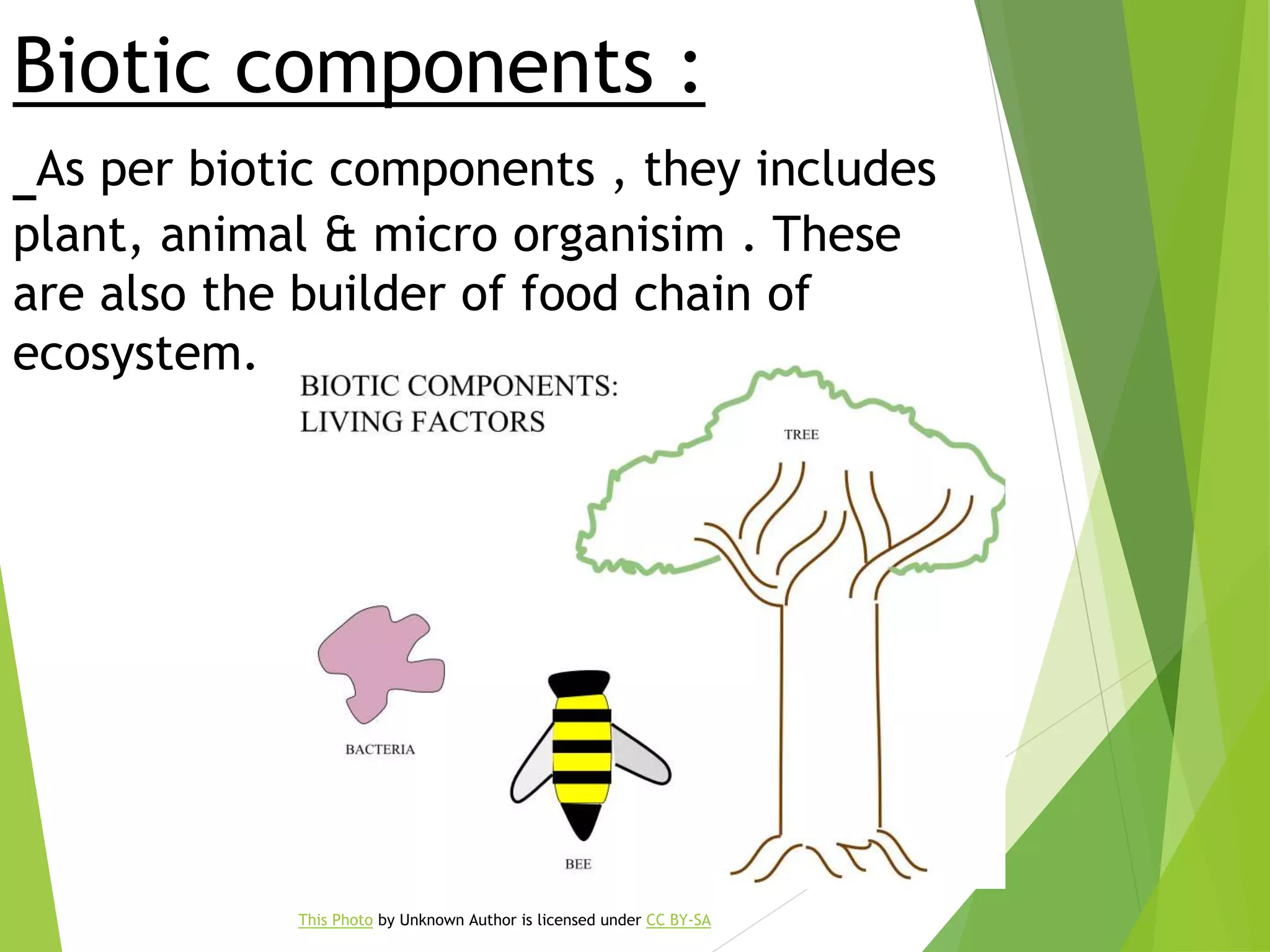 Biosphere ppt | PPT