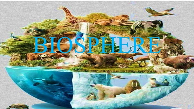 Biosphere ppt | PPTX | Geography | Science