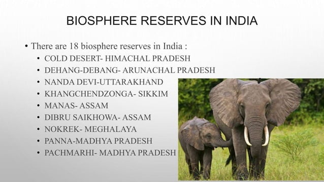 Biosphere ppt | PPTX | Geography | Science