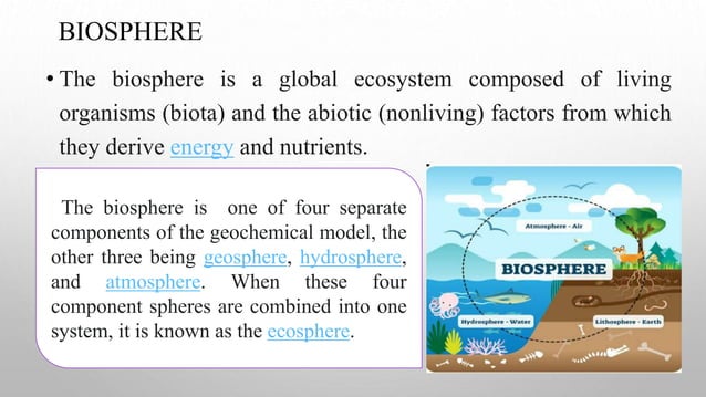 Biosphere ppt | PPTX | Geography | Science