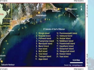 Biosphere Reserve & Marine Protected Areas in India... | PPTX