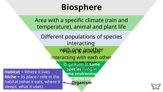 BIOLOGY biosphere to ecosystem ls grade 10.pptx