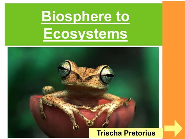 Biosphere to Ecosystems | PPT | Weather | Science