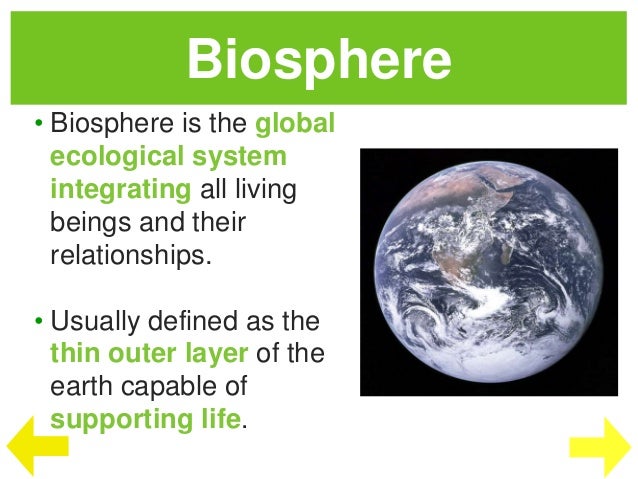 Biosphere to Ecosystems