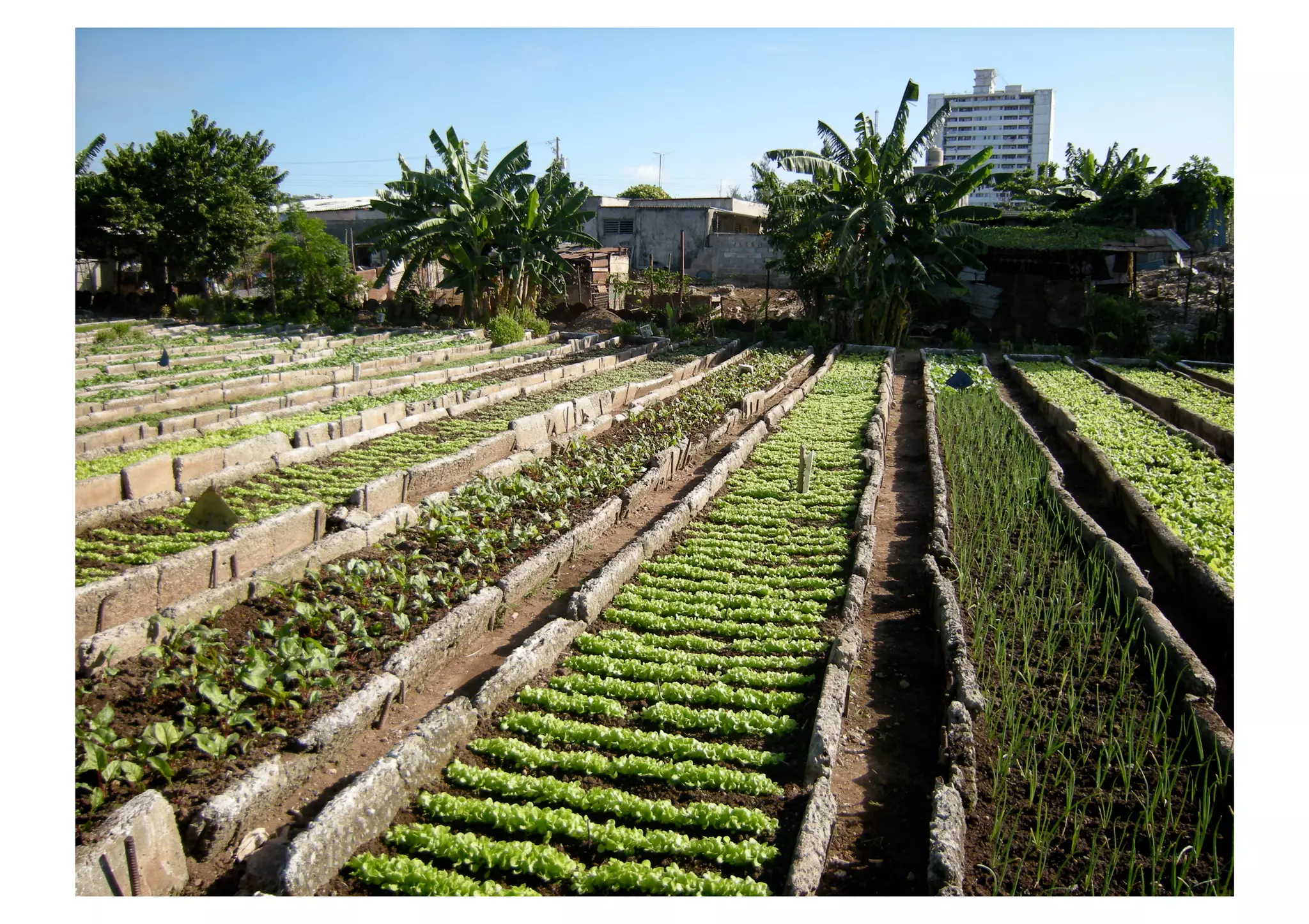 Permaculture & Worm Composting - Part 2 - Biospheric Project | PDF