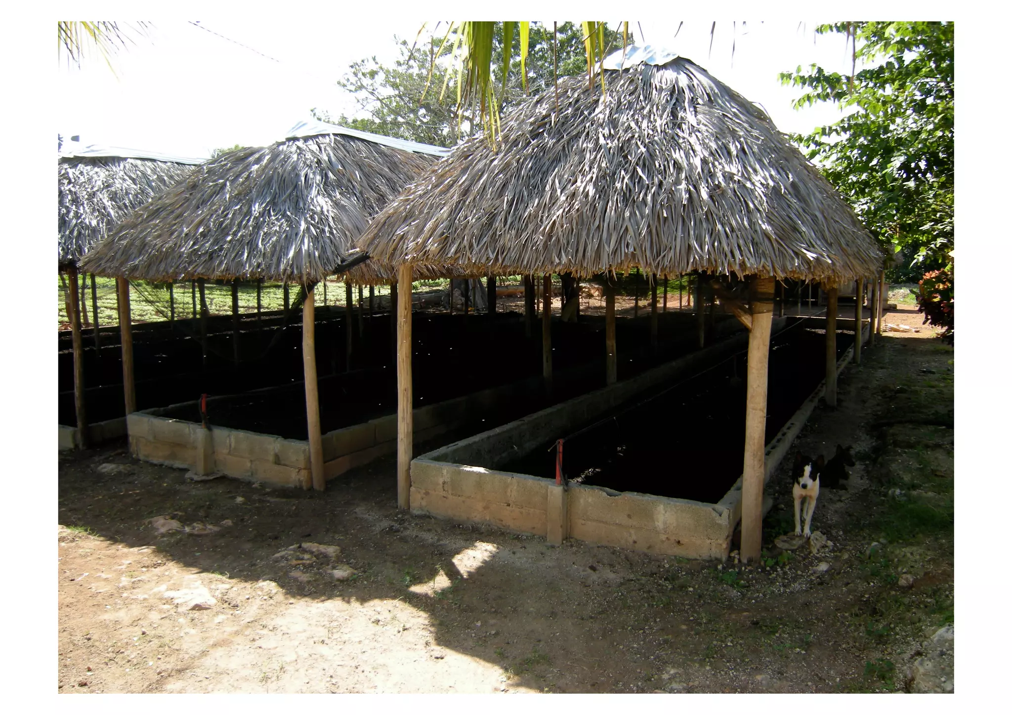 Permaculture & Worm Composting - Part 2 - Biospheric Project | PDF