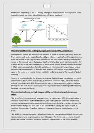 Biospheric recycling of water in Amazon Basin.docx | Weather | Science