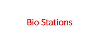 Bio Stations.pptx | Medical Health