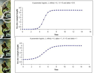 Modelling of Bacterial Growth | PPTX