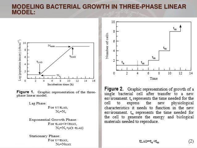 Modelling of Bacterial Growth