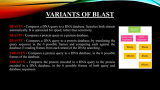 BLAST | PPTX | Operating Systems | Computer Software and Applications