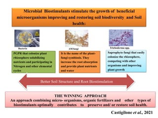 biostimulants and their role in soil health.pptx