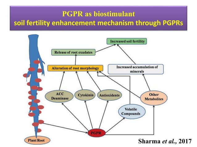 biostimulants and their role in soil health.pptx | Agriculture | Industries