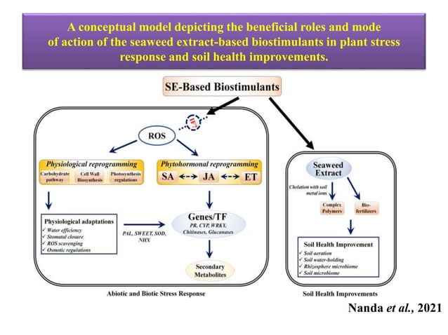 biostimulants and their role in soil health.pptx | Agriculture | Industries