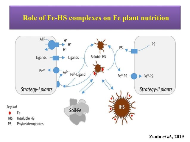 biostimulants and their role in soil health.pptx