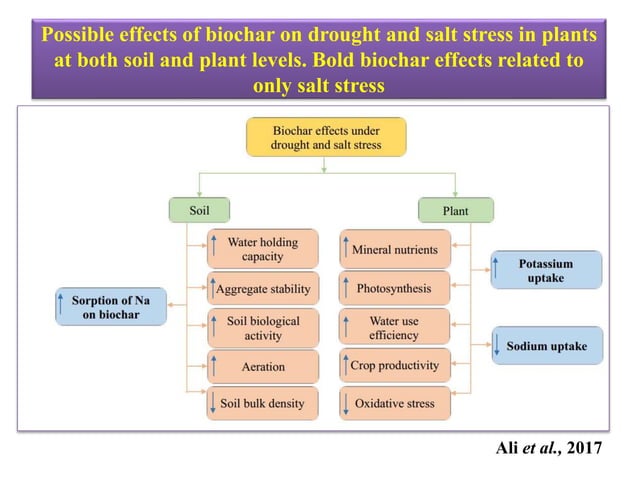 biostimulants and their role in soil health.pptx | Agriculture | Industries