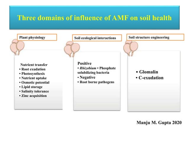 biostimulants and their role in soil health.pptx | Agriculture | Industries