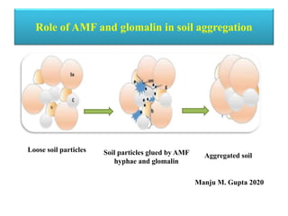 biostimulants and their role in soil health.pptx