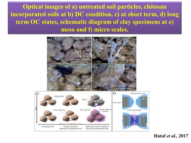biostimulants and their role in soil health.pptx | Agriculture | Industries
