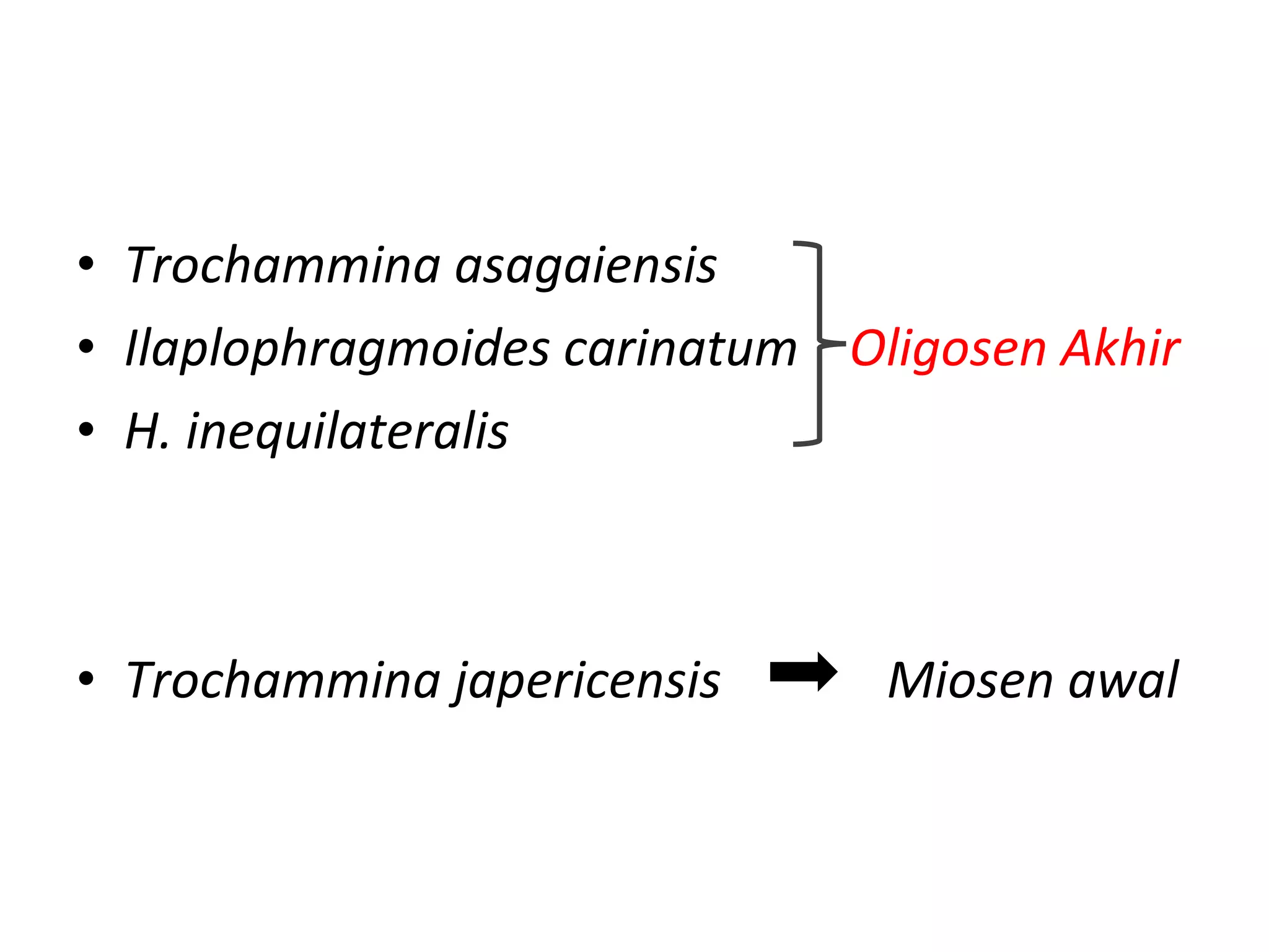 Biostratigrafi foraminifera dan paleoenvironment | PPT
