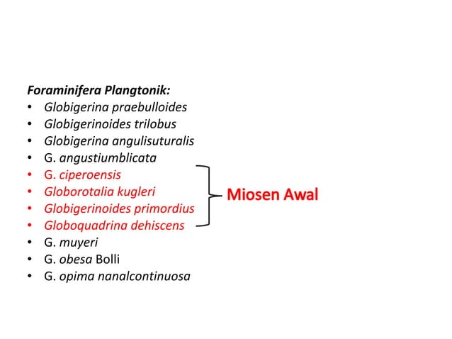 Biostratigrafi foraminifera dan paleoenvironment | PPT