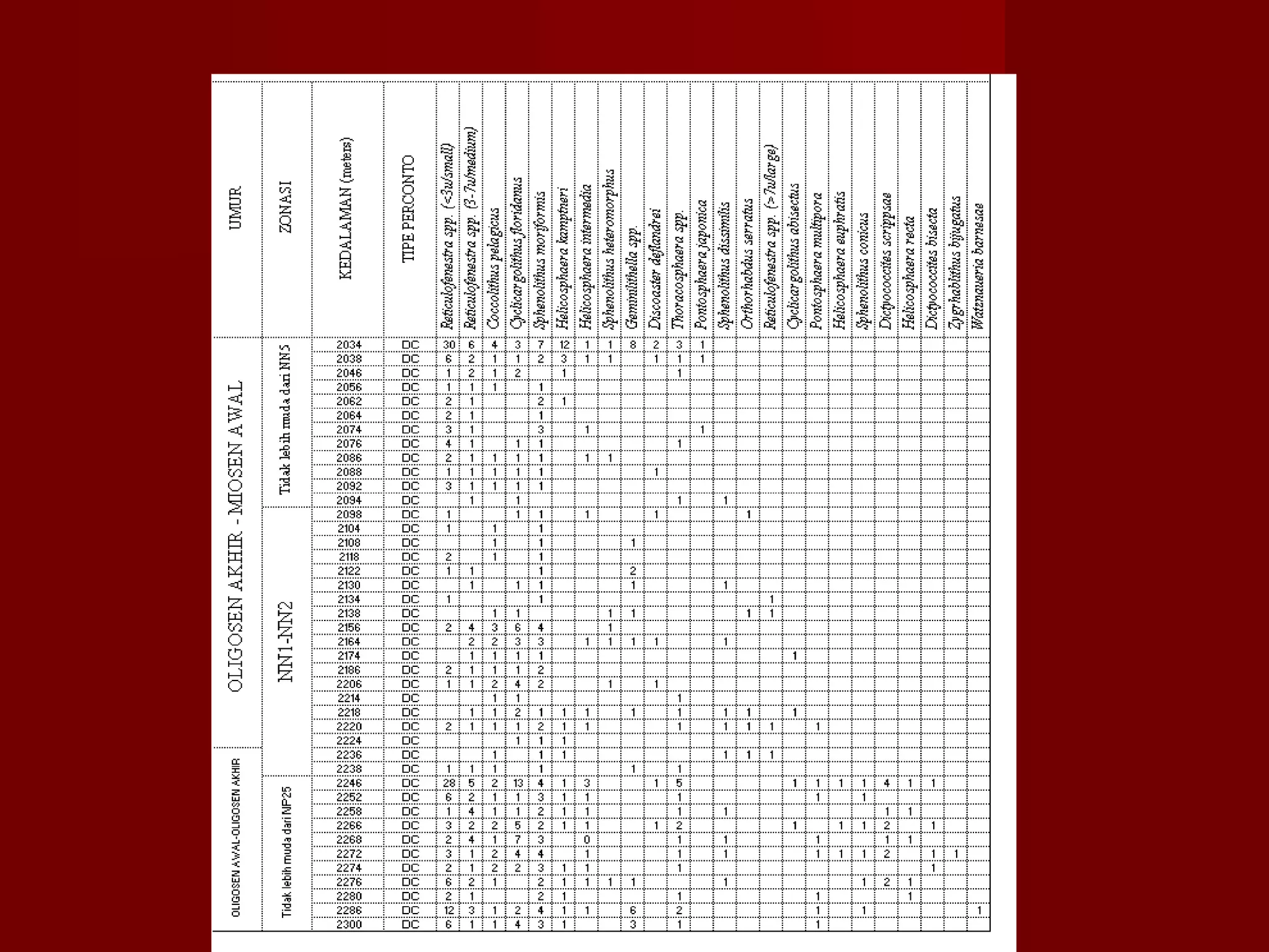 Biostratigrafi nanofosil | PPT