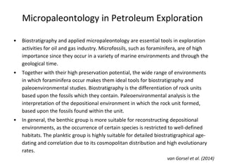 BIOSTRATIGRAPHIC_SUPPORT_IN_PETROLEUM_EX.pdf