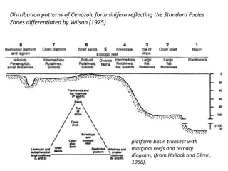 BIOSTRATIGRAPHIC_SUPPORT_IN_PETROLEUM_EX.pdf