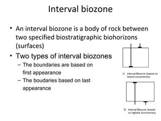 Biostratigraphy - Geologist | PPT