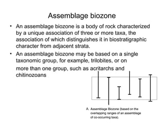 Biostratigraphy - Geologist | PPT