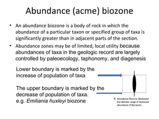 Biostratigraphy - Geologist | PPT