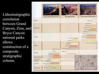 Biostratigraphy | PDF