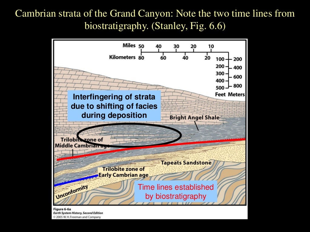 Biostratigraphy