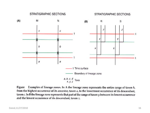Biostratigraphy | PPT | Geography | Science