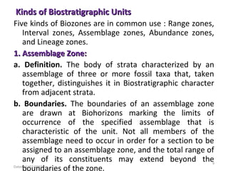 Biostratigraphy | PPT