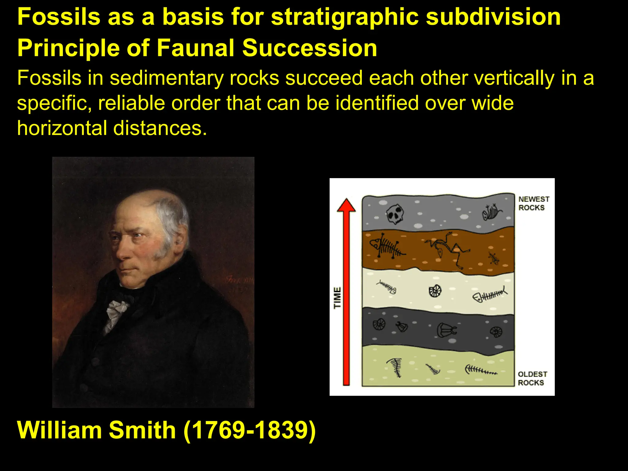 Biostratigraphy Introduction and history | PDF