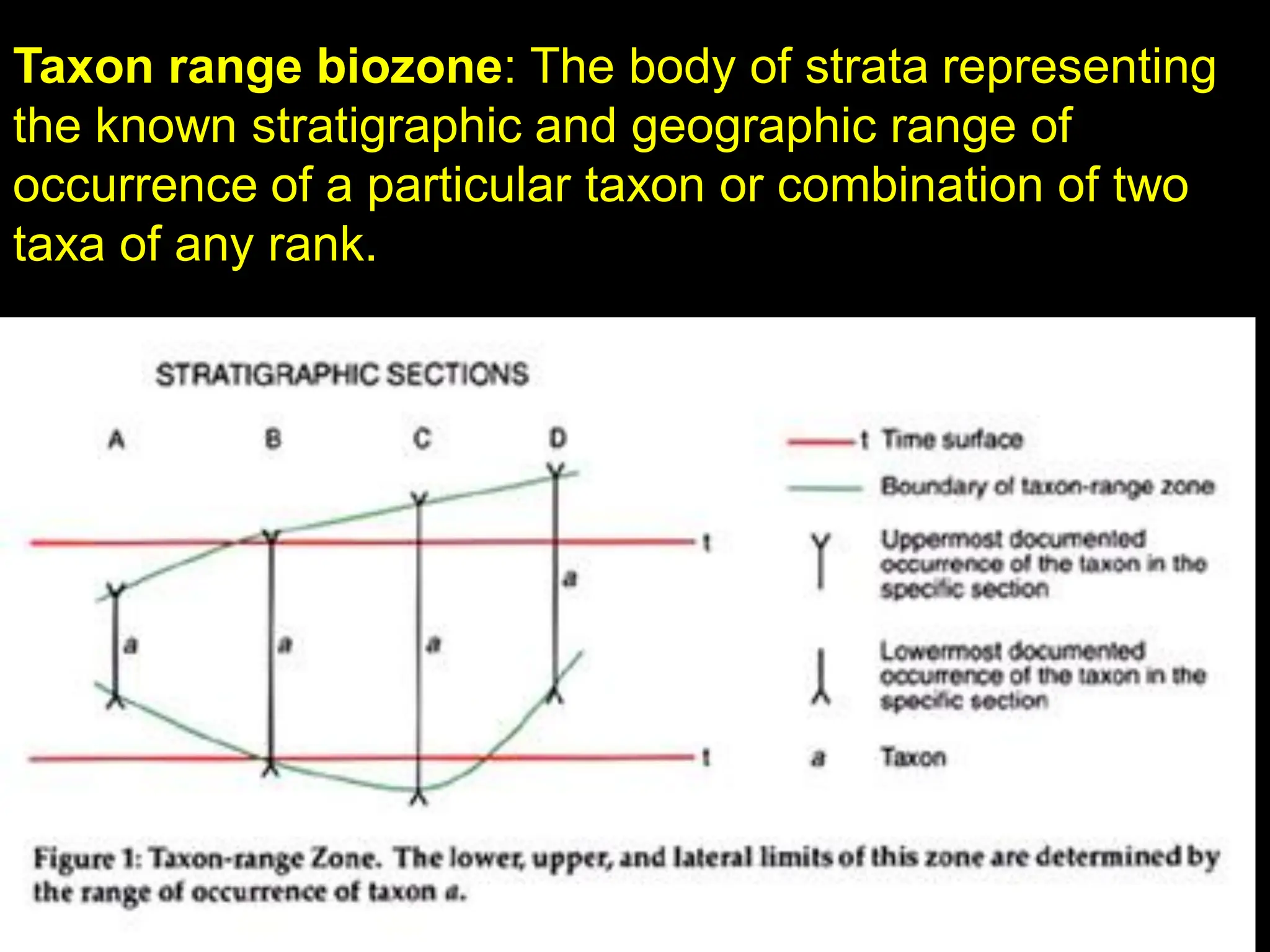 Biostratigraphy Introduction and history | PDF