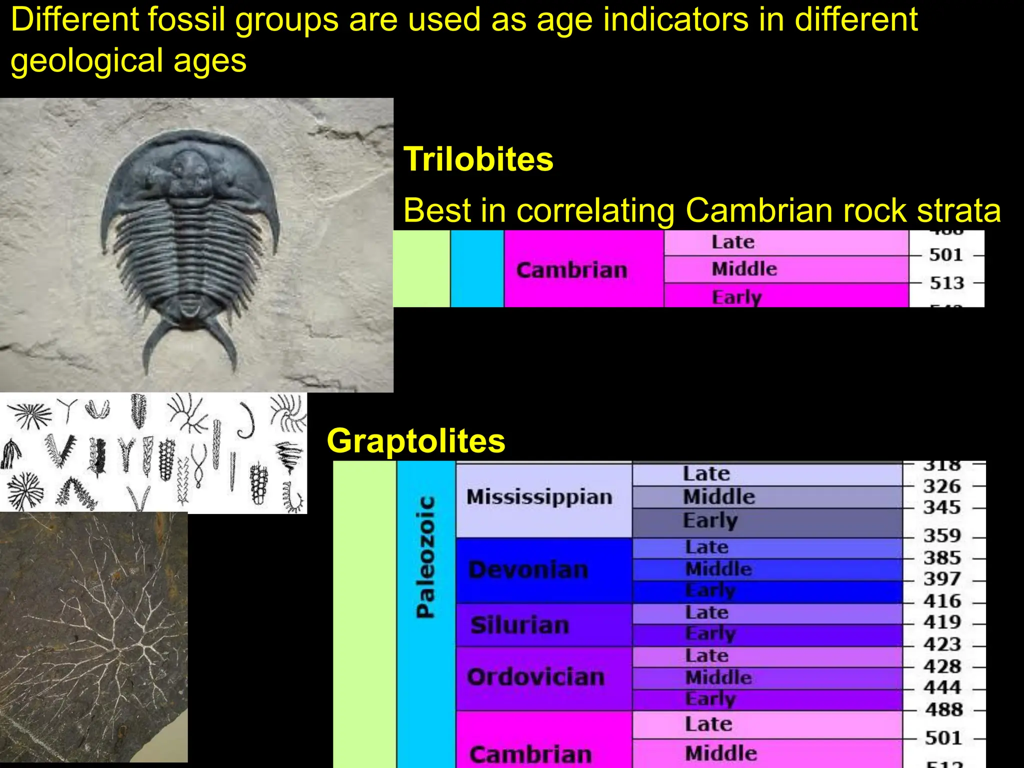 Biostratigraphy Introduction and history | PDF