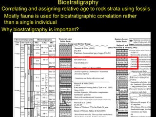 Biostratigraphy Introduction and history | PDF