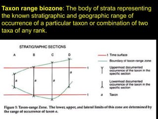 Biostratigraphy Introduction and history | PDF