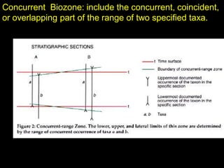 Biostratigraphy Introduction and history | PDF